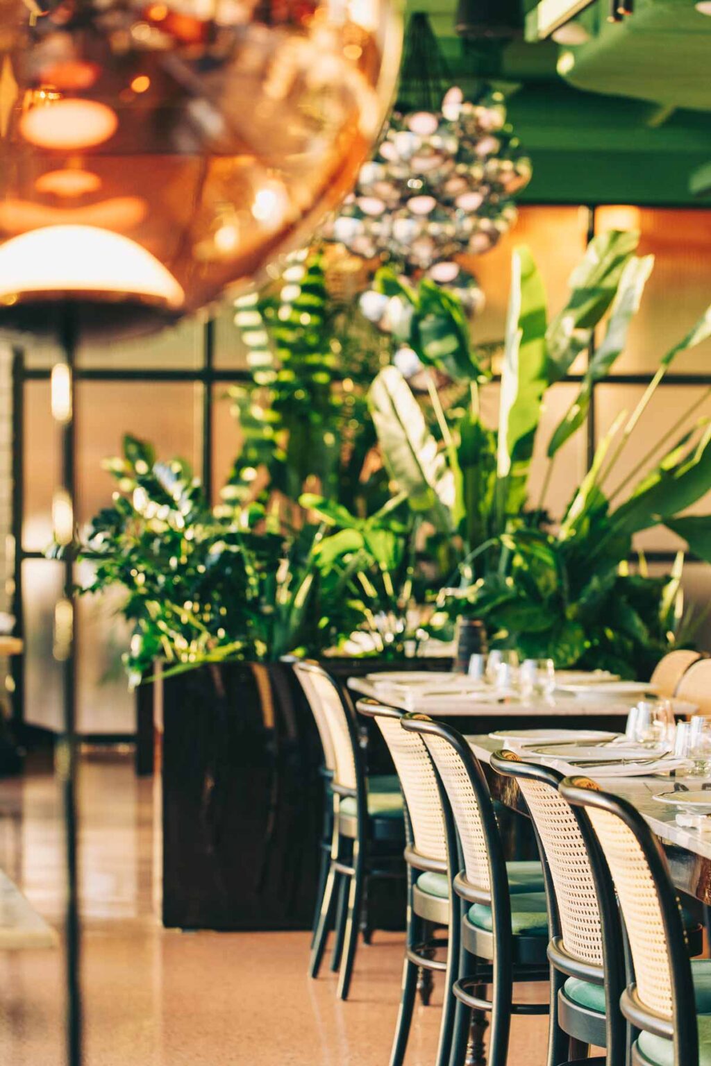 MINA Berlin: Warum das Restaurant ein Must-Visit an der Spree ist ...